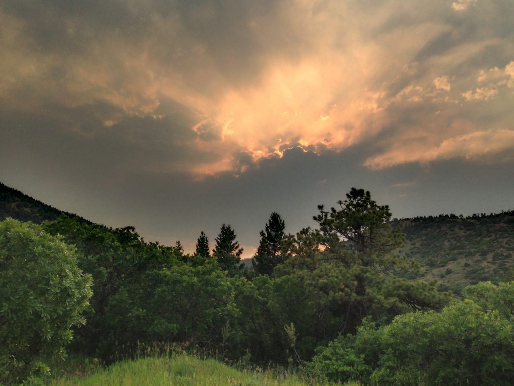 About Us – Willow Springs Open Space Owners Association